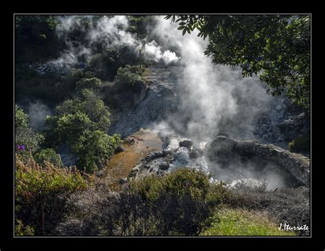 Flickriver Searching For Most Interesting Matching Furnas