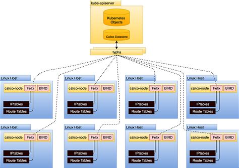 Kubernetes Networking And Calico Cni Plugin Showwcase