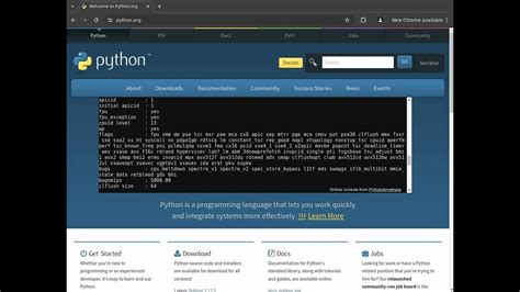 Running Bash From Youtube