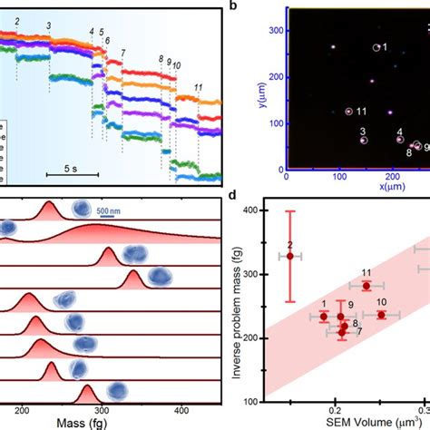 Validation Of The Inverse Problem Method A Real Time Record Of The Download Scientific Diagram