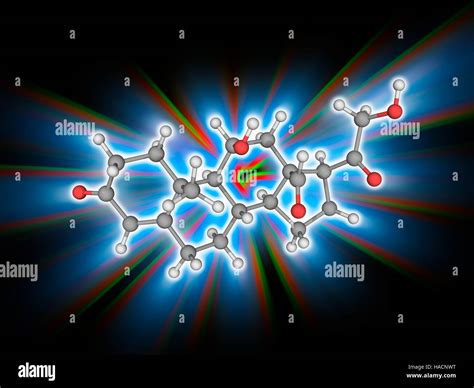 Aldosterone Potassium