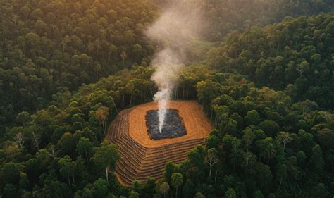 Shifting Cultivation Meaning Process Pros And Cons