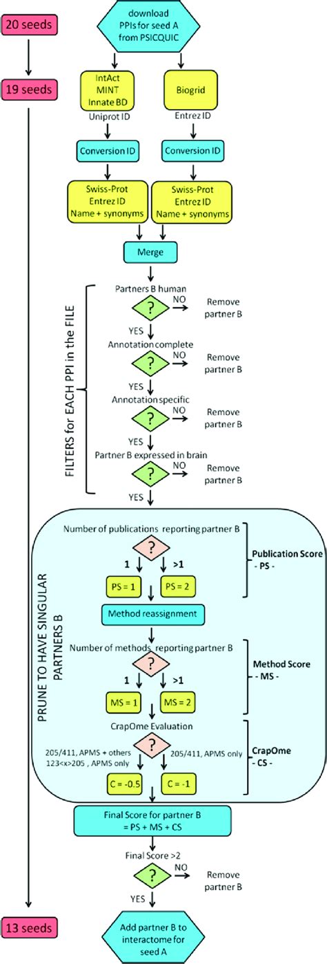 Workflow To Generate And Build The Network Download Scientific Diagram