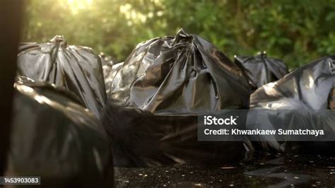 늪지대 물에 쓰레기로 가득 찬 검은 플라스틱 쓰레기 봉투를 닫습니다 3d 렌더링 0명에 대한 스톡 사진 및 기타 이미지 0명