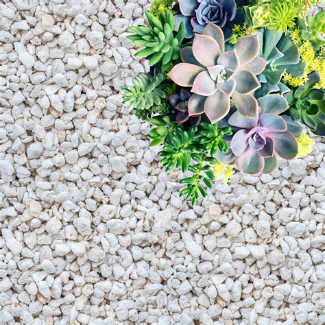 Perlite For Plants Coarse And Chunky Horticultural Perlite Organic Perlite For Gardening
