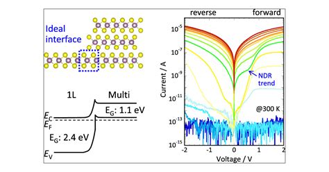 Single Gate Mos2 Tunnel Fet With A Thickness Modulated Homojunction Acs Applied Materials
