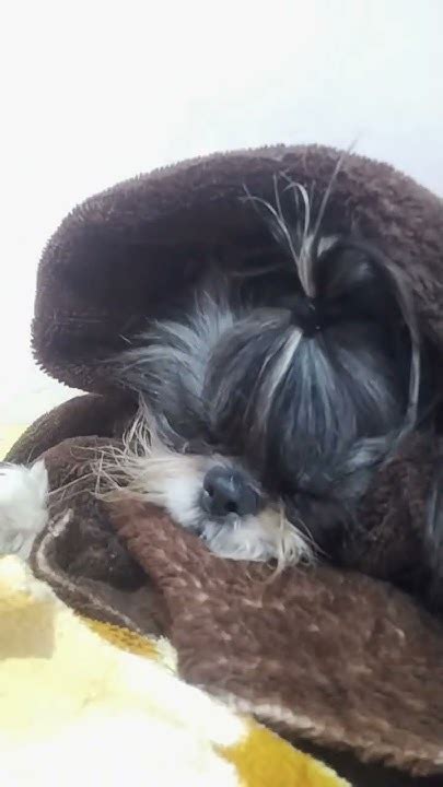 Ruby Ko Thand Aur Garmi Dono Bahut Hoti Hai😂 Youtube