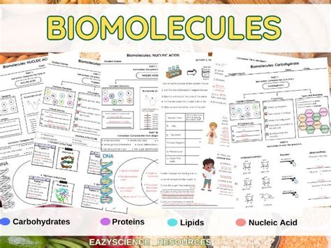 Biomolecules Carbs Proteins Lipids And Nucleic Acids Teaching