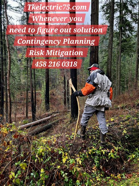 Deployment Fema Contingencyplanning Implementationpartner Sixsigmablackbeltcertification