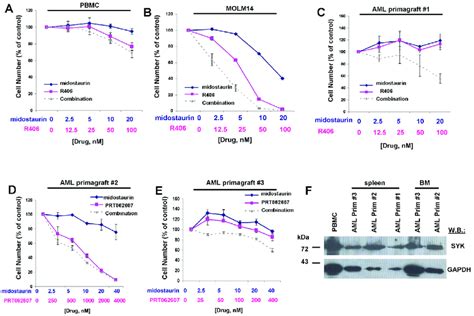 Potentiation Of Effects Of Midostaurin Against Drug Resistant Aml Download Scientific Diagram