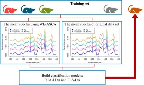 Overview Of Classification Pipelines Using We Asca As A Preprocessing