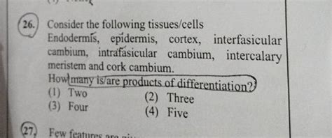 Consider The Following Tissues Cells Endodermís Epidermis Cortex Inter