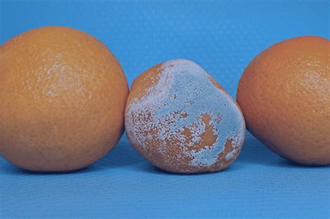 The Importance Of Database Normalisation Start With Data