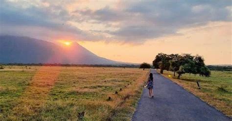 Mengenal Algoritma Binary Search Binary Search Adalah Sebuah Algoritma