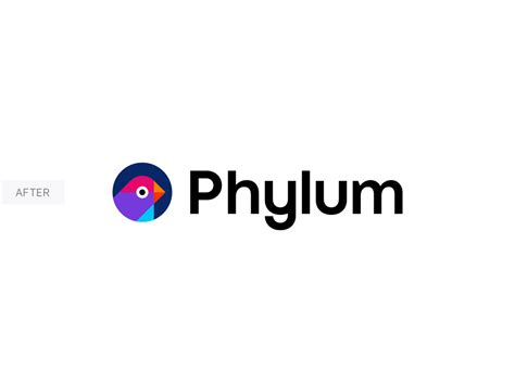 Phylum Software Security Development Saas Case Study Alex Tass
