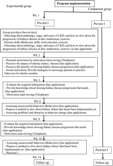 Flow Diagrams Of A Comparison Between The Experimental Group And The Download Scientific