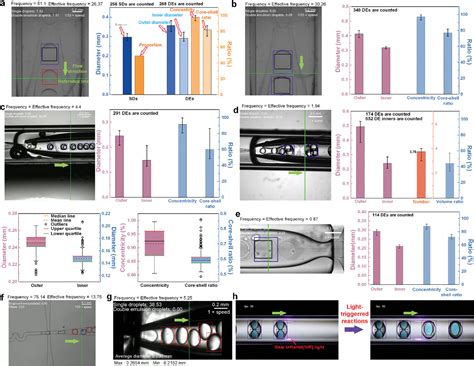 A Machine Vision Perspective On Droplet‐based Microfluidics Wang