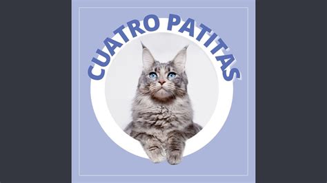 Cuatro Patitas Youtube
