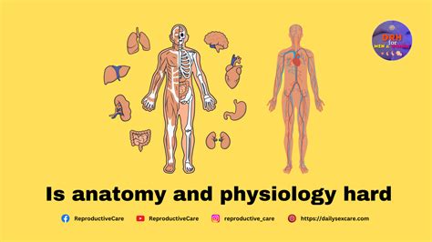 Is Anatomy And Physiology Hard Reproductive Health