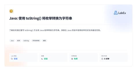 Java 使用 Tostring 将枚举转换为字符串 Labex