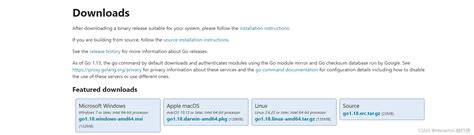 windows下使用vs code配置go语言开发环境并编写menu项目 vs写go语言 csdn博客