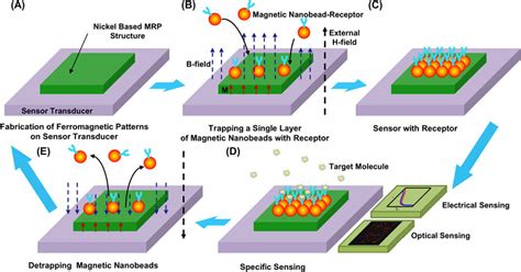Schematic Diagram Showing The Repeated Sensing Operations Of A Reusable Download Scientific