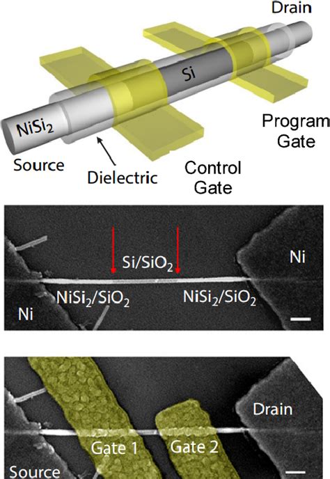 Figure 1 From Reconfigurable Nanowire Electronics — Device Principles And Circuit Prospects