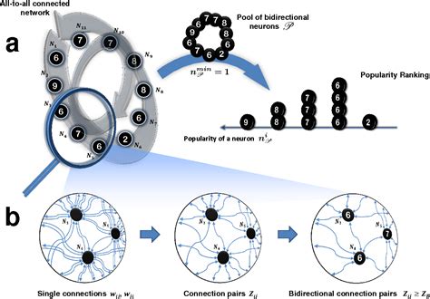 Figure 1 From Detection Of Multiple And Overlapping Bidirectional Communities Within Large