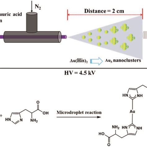 A Schematic Of The Experimental Apparatus For The Online Microdroplet