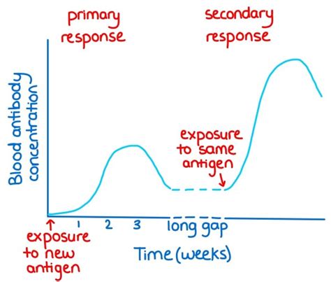 Immunity Archives Zoë Huggett Tutorials