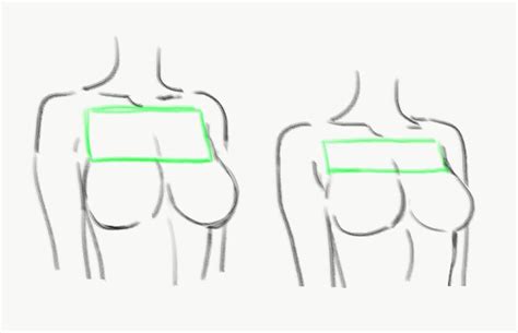 Soemy Original 2girls Breasts Collarbone Cropped Head Cropped