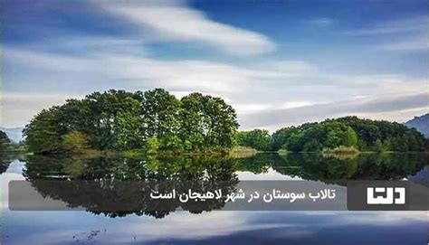 تالاب سوستان گیلان