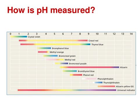 PPT Acidic Basic And Neutral Solutions PowerPoint Presentation Free Download ID