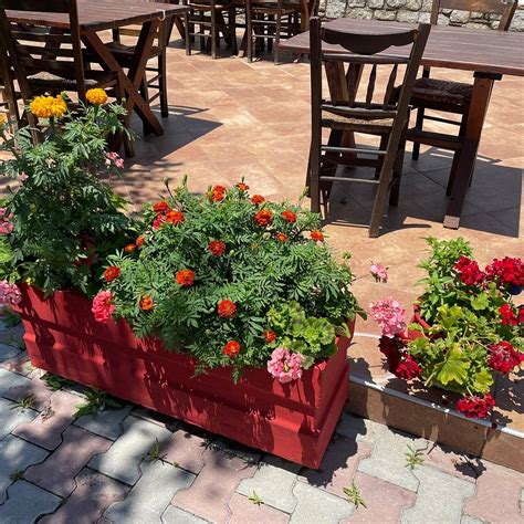 Taverna Leon Toroni Restaurant Reviews Photos And Phone Number Tripadvisor