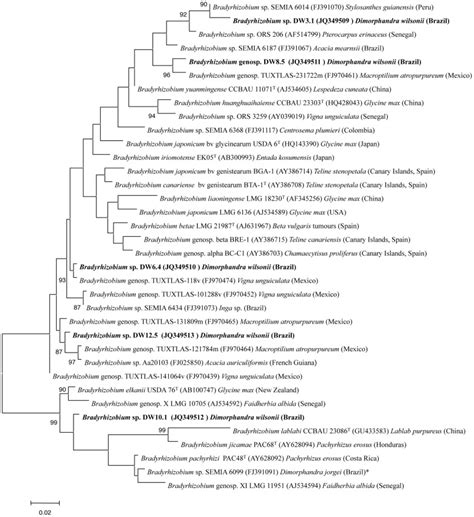 Bootstrap Values Were Calculated For 1000 Replications Bar 1 Nt
