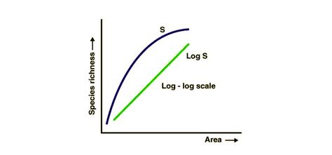 Biodiversity Pattern In Species Latitudinal Gradient And Species Area