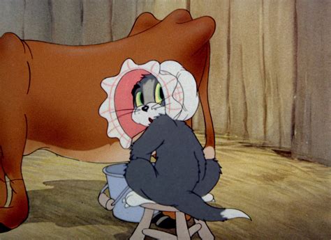 Tom And Jerry Pictures Fine Feathered Friend