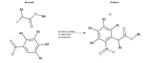 Nucleophilic Aromatic Substitutions