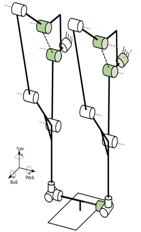1 Single Leg Schematic Green Joints Actively Powered By Servo