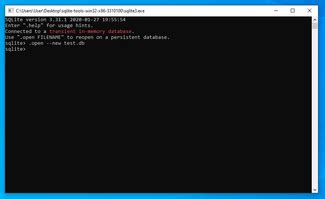 Setup And Connect Local Database SQLite Prisma S Data Guide