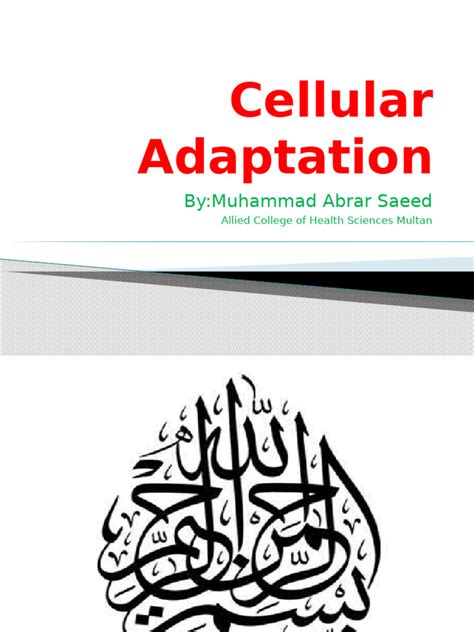 2 Cellular Adaptation Pdf Atrophy Biology