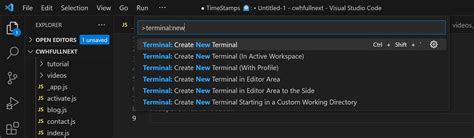 如何在 Vs Code 中快速打开终端？5种方法轻松掌握 小狮博客 小狮博客