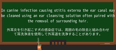 【英単語】otitis Externaを徹底解説！意味、使い方、例文、読み方 おもしろい英文法