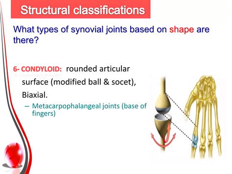 Joints Pptx