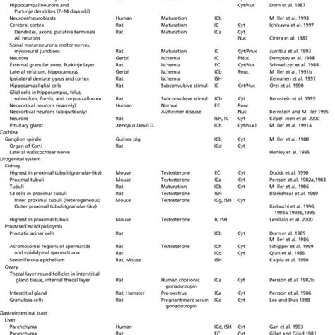Localization Of Ornithine Decarboxylase In Tissues A Download Table