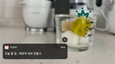 🧩큐브데이ㅣ애호박 큐브 만들기ㅣ베이비무브ㅣ초기이유식ㅣ토핑이유식ㅣ큐브공장 Youtube