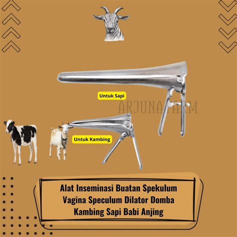 Jual Spekulum Dilator Vagina Alat Inseminasi Buatan Sapi Domba Kambing Babi Hewan Ternak