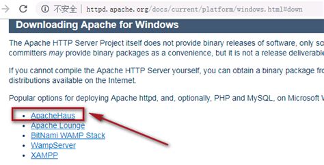 windows flask apache wsgi踏坑总结 onlyou13 博客园