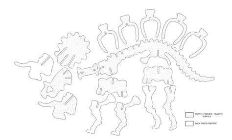 Dinosaur Bone Template