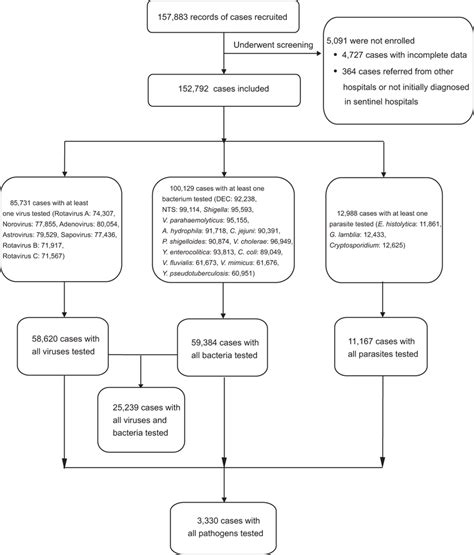A Flowchart Of The Data Collection And Sorting Procedures This Flow